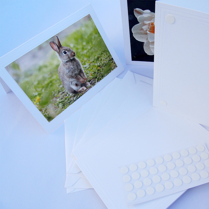 Blank Photo Mount Cards, Picture Frame Greeting Cards,10pcs/60pcs ...