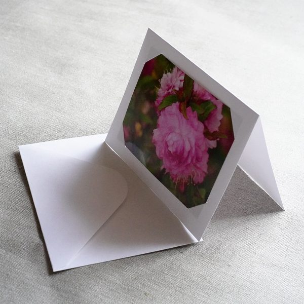 Blank Photo Frame Cards & Envelopes, 5'' x 7'' Premium Paper Cards for ...